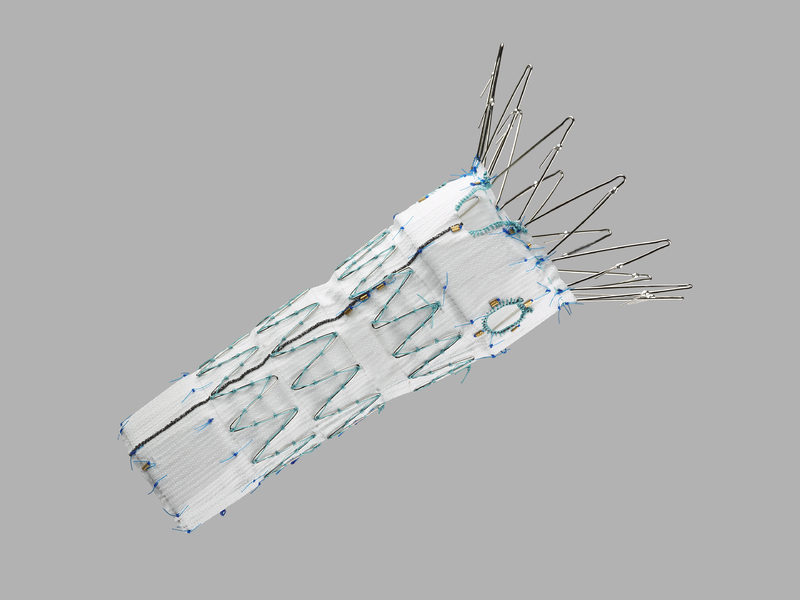 DeviceMD - Zenith® Fenestrated AAA Endovascular Graft Proximal Body ...