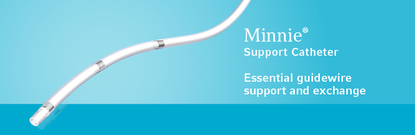 DeviceMD - Minnie® Support Catheter