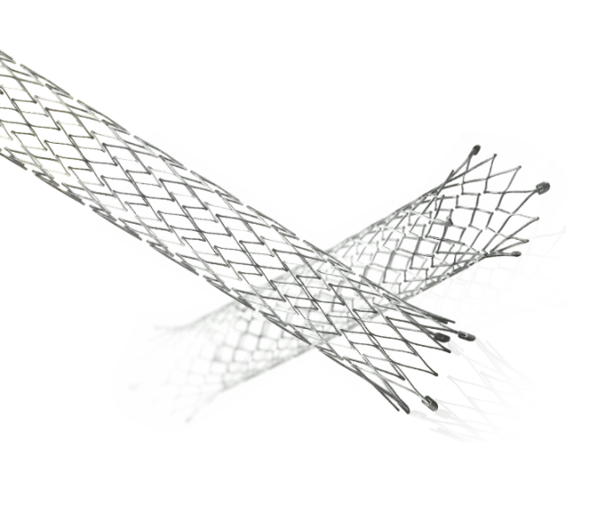 DeviceMD - LifeStar™ Vascular Stent System