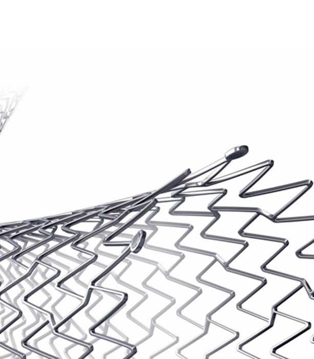 DeviceMD - S.M.A.R.T.® Vascular Stent System