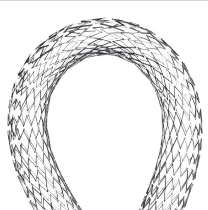 DeviceMD - Protege EverFlex Self-expanding Biliary Stent
