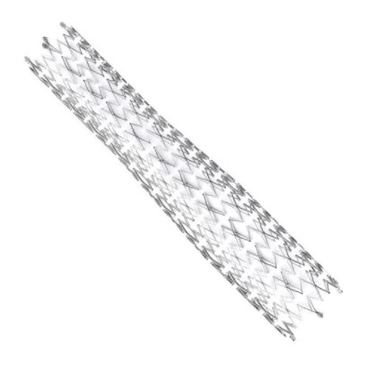 DeviceMD - Protege RX Carotid Stent