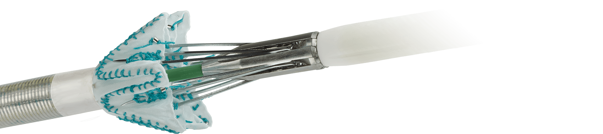 DeviceMD - TREO® PRODUCT FAMILY