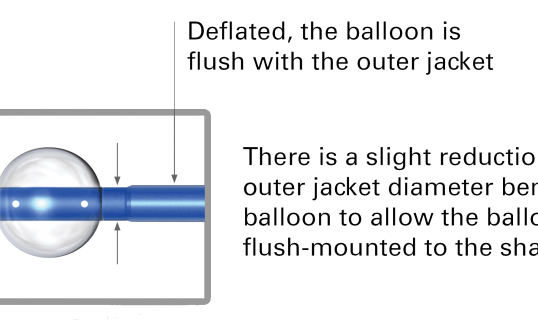 DeviceMD - FlowGate² Balloon Guide Catheter